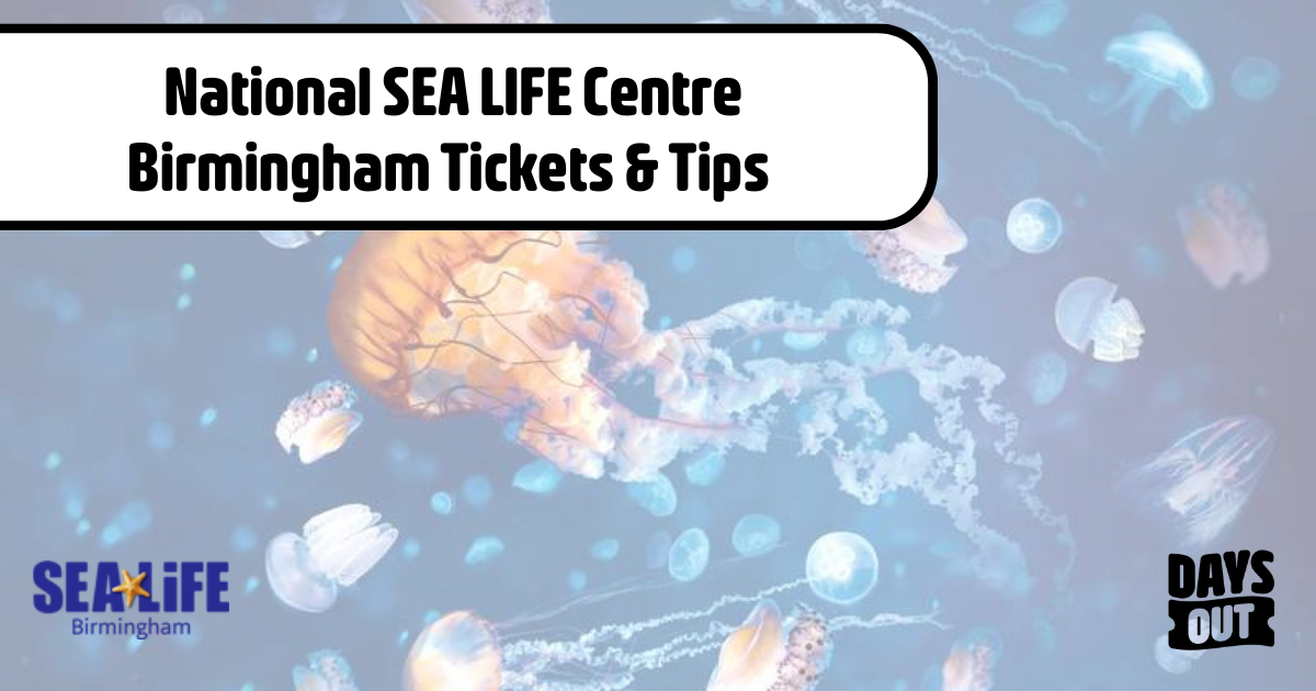 National SEA LIFE Centre Birmingham Tickets | Days Out