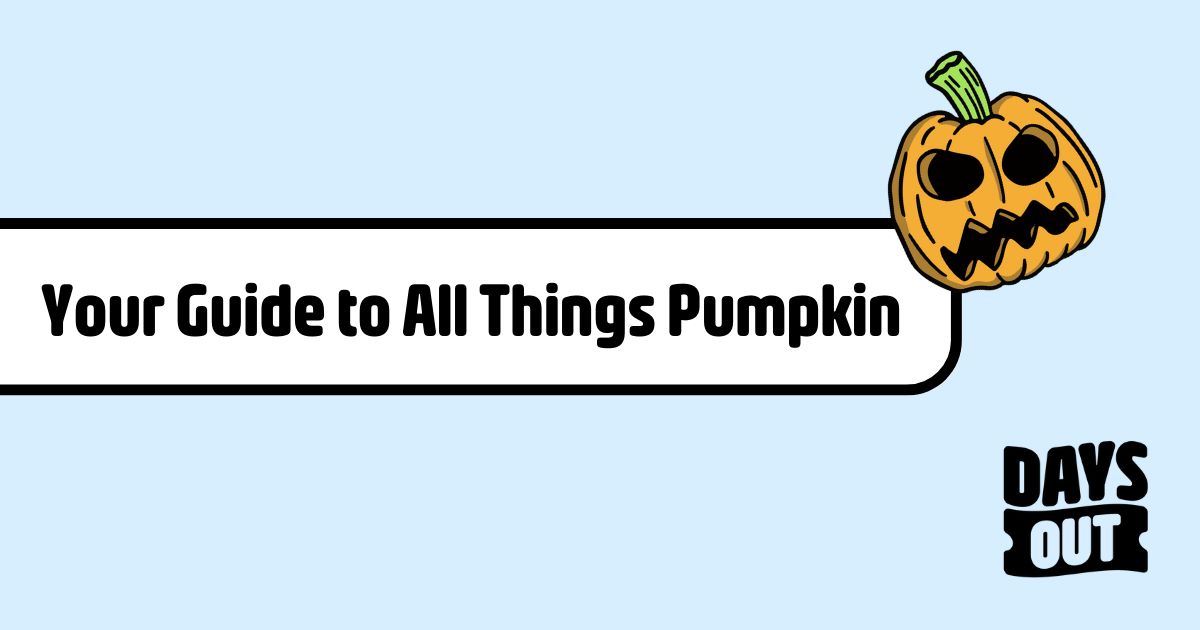 What should you do with pumpkins? | Days Out