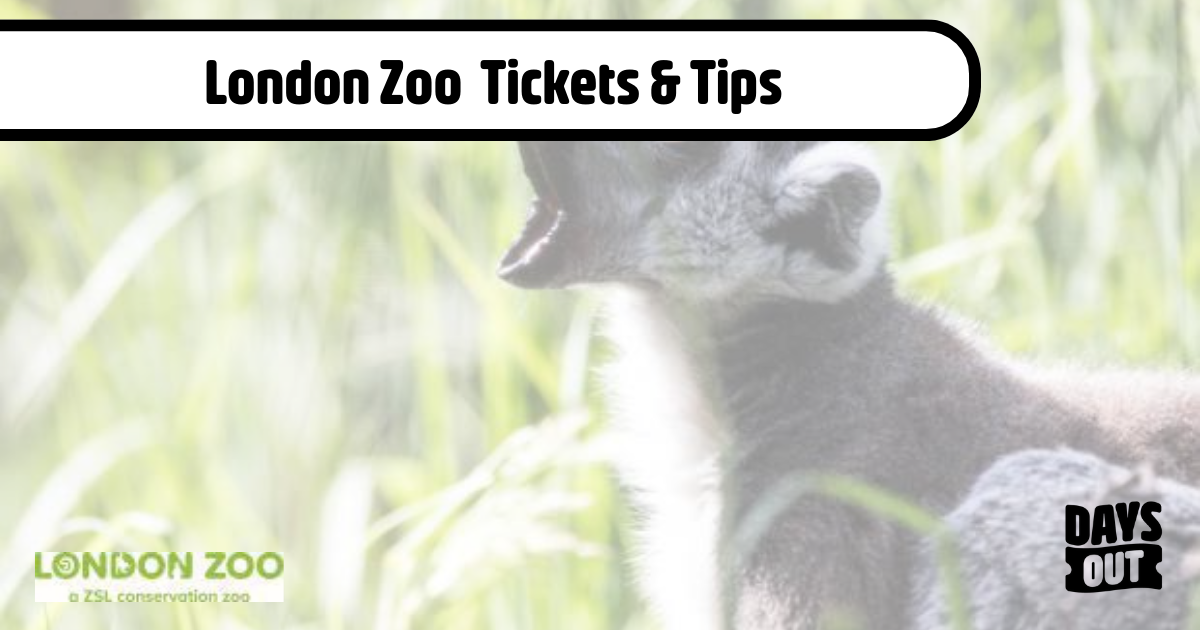 London Zoo Tickets & Tips | Days Out